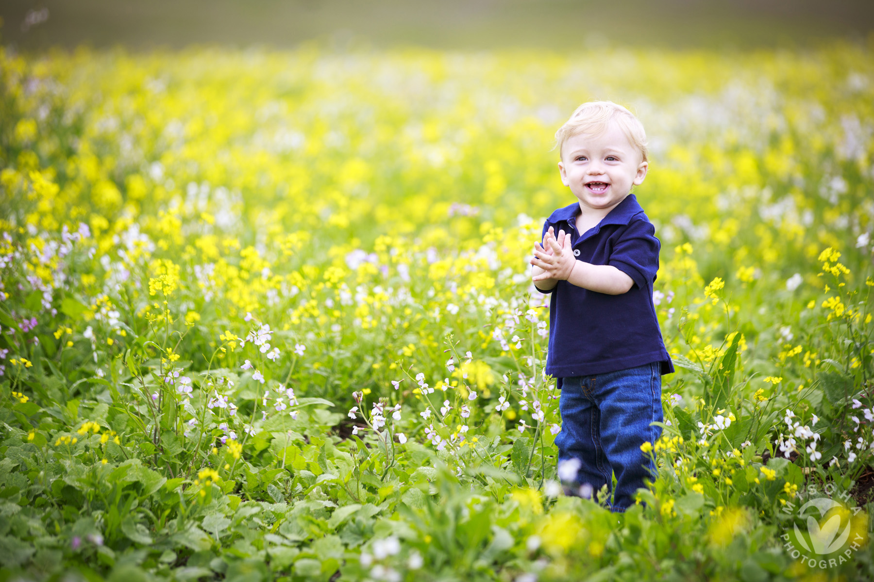 Family portraits in a Mustard Field » Mischa Photography
