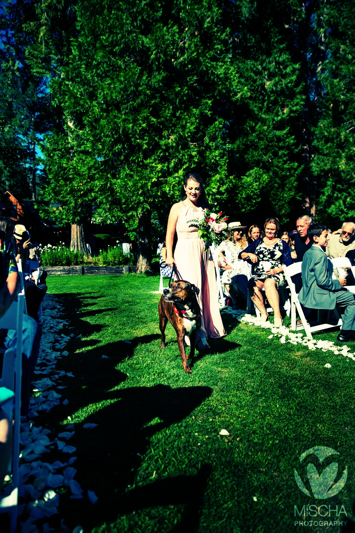Destination wedding photography – outdoor river wedding » Mischa ...